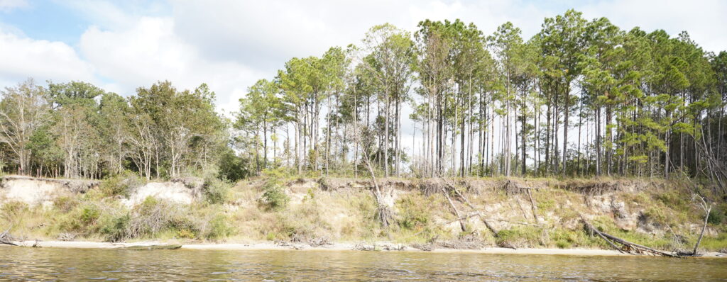 Mapping North Carolina's Vulnerable Estuarine Shorelines - North ...